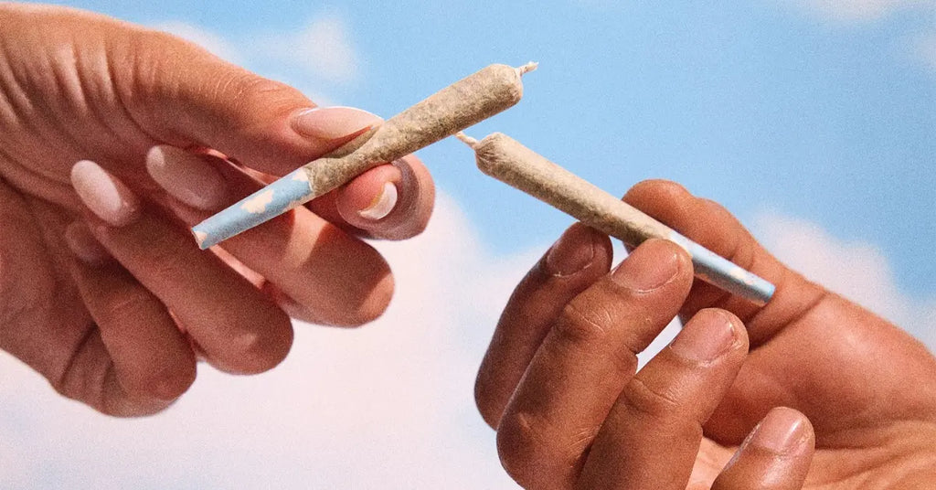 cigarette rolling papers bulk