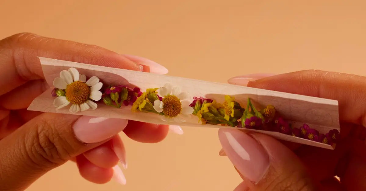 Beginner's Rolling Guide: Master Your Technique | Zig-Zag